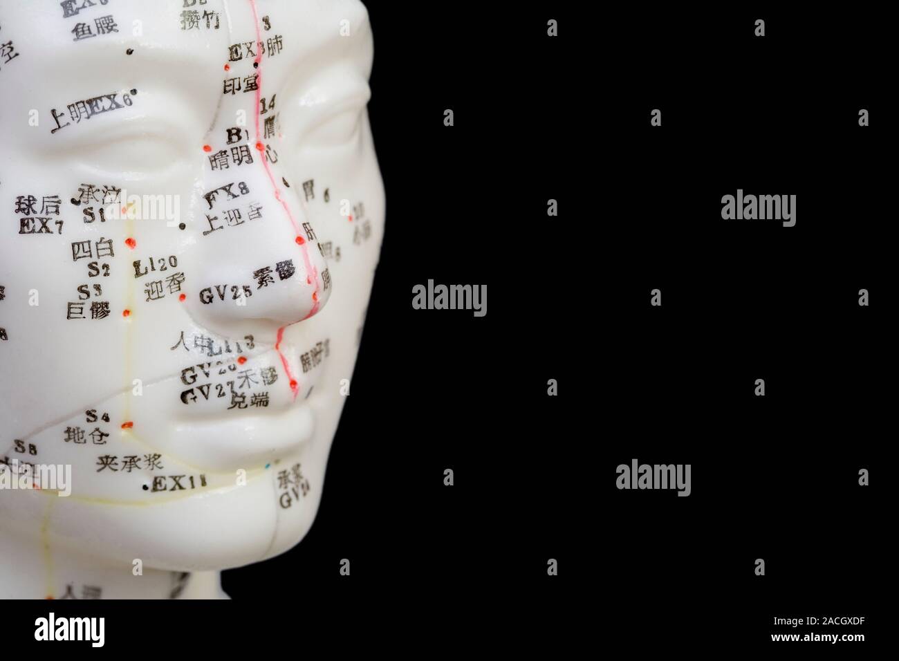 Human model showing acupuncture points Stock Photo - Alamy