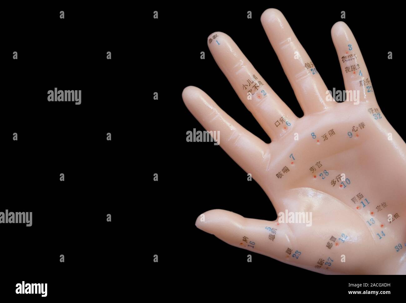 Human model showing acupuncture points Stock Photo - Alamy