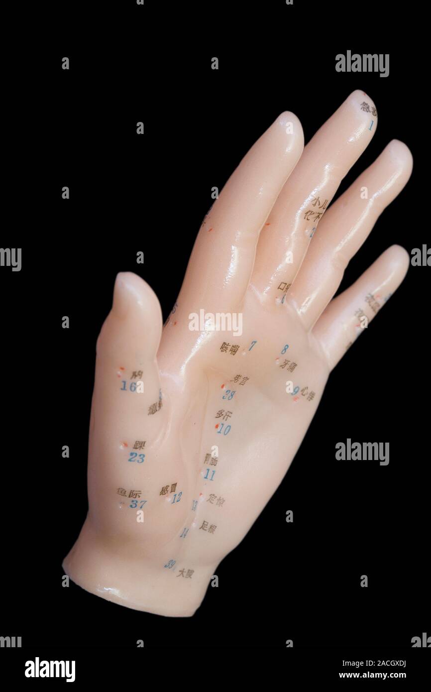 Human model showing acupuncture points Stock Photo - Alamy