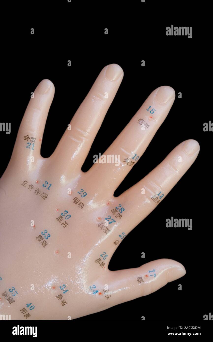 Human model showing acupuncture points Stock Photo - Alamy