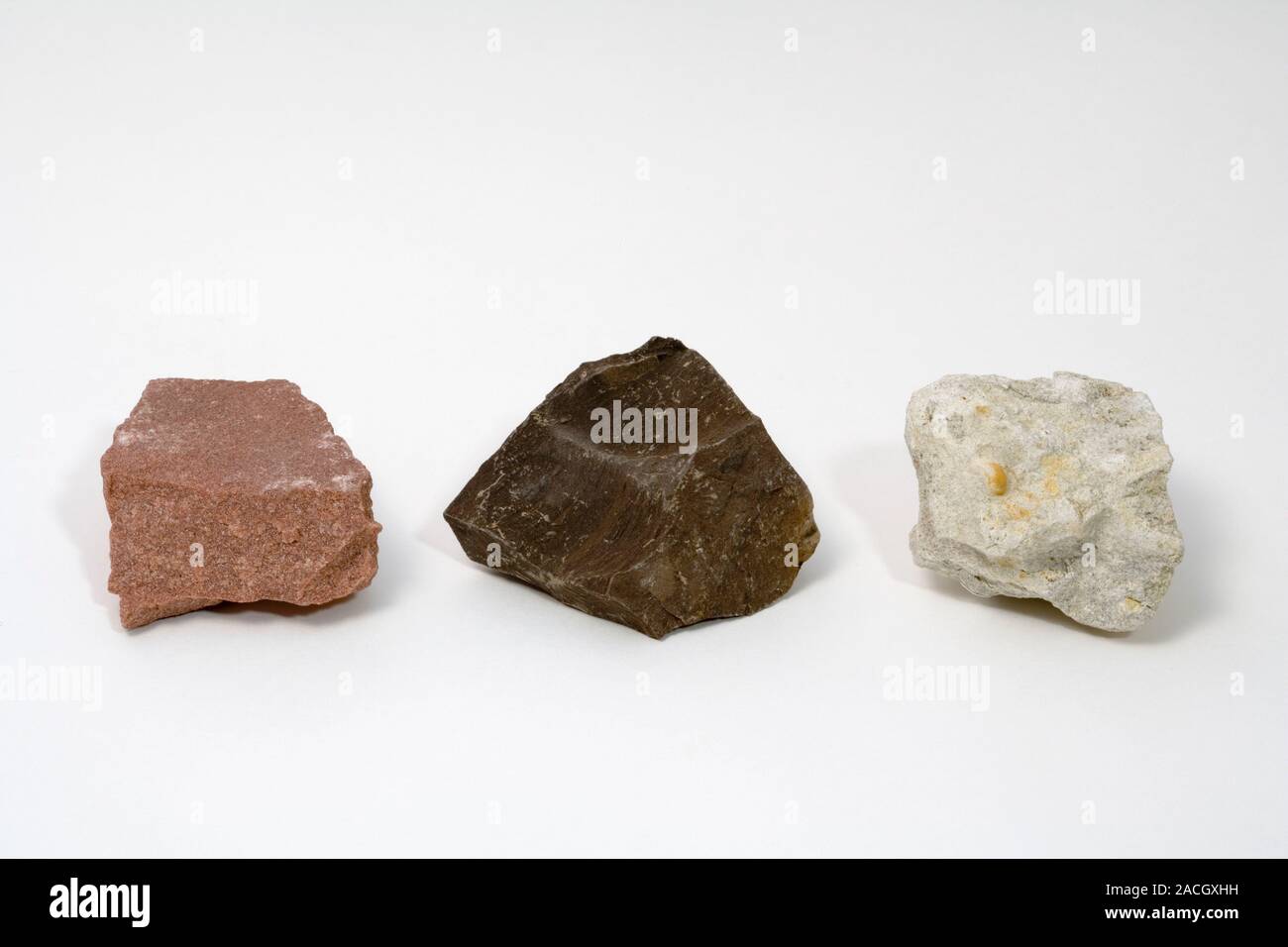 Sedimentary Rocks - From Left to Right - Sandstone, Oil Shale, Fossil ...