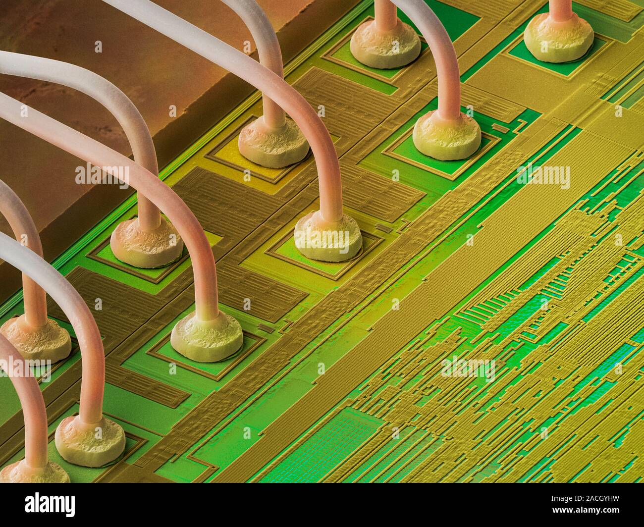 Microchip connectors, coloured scanning electron micrograph (SEM ... Microchip connectors, coloured scanning electron micrograph (SEM ...