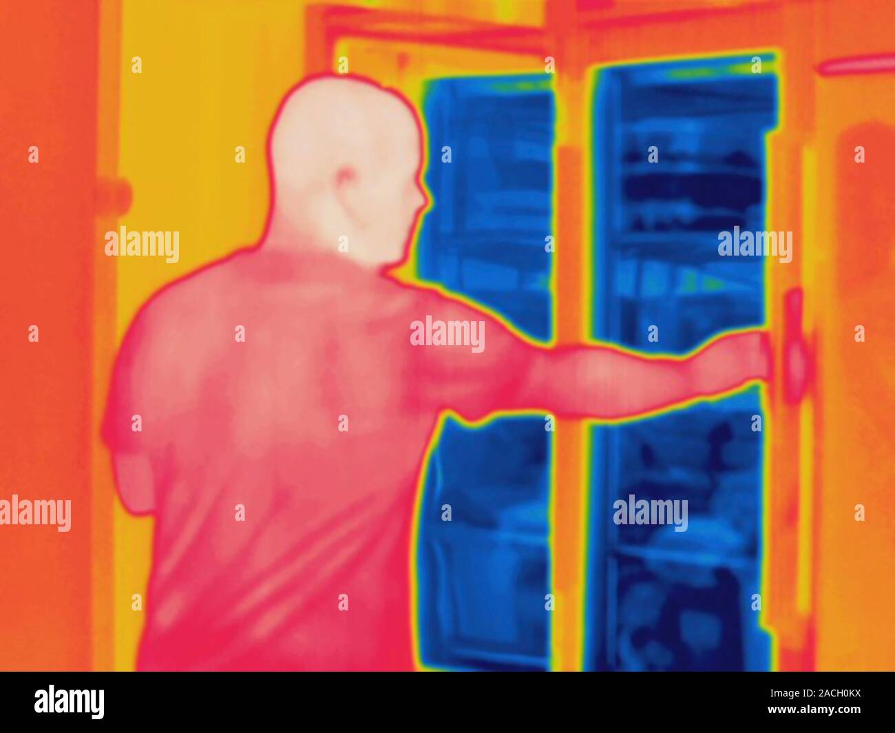 Thermogram - Male reaching into refrigerator - The colors show ...