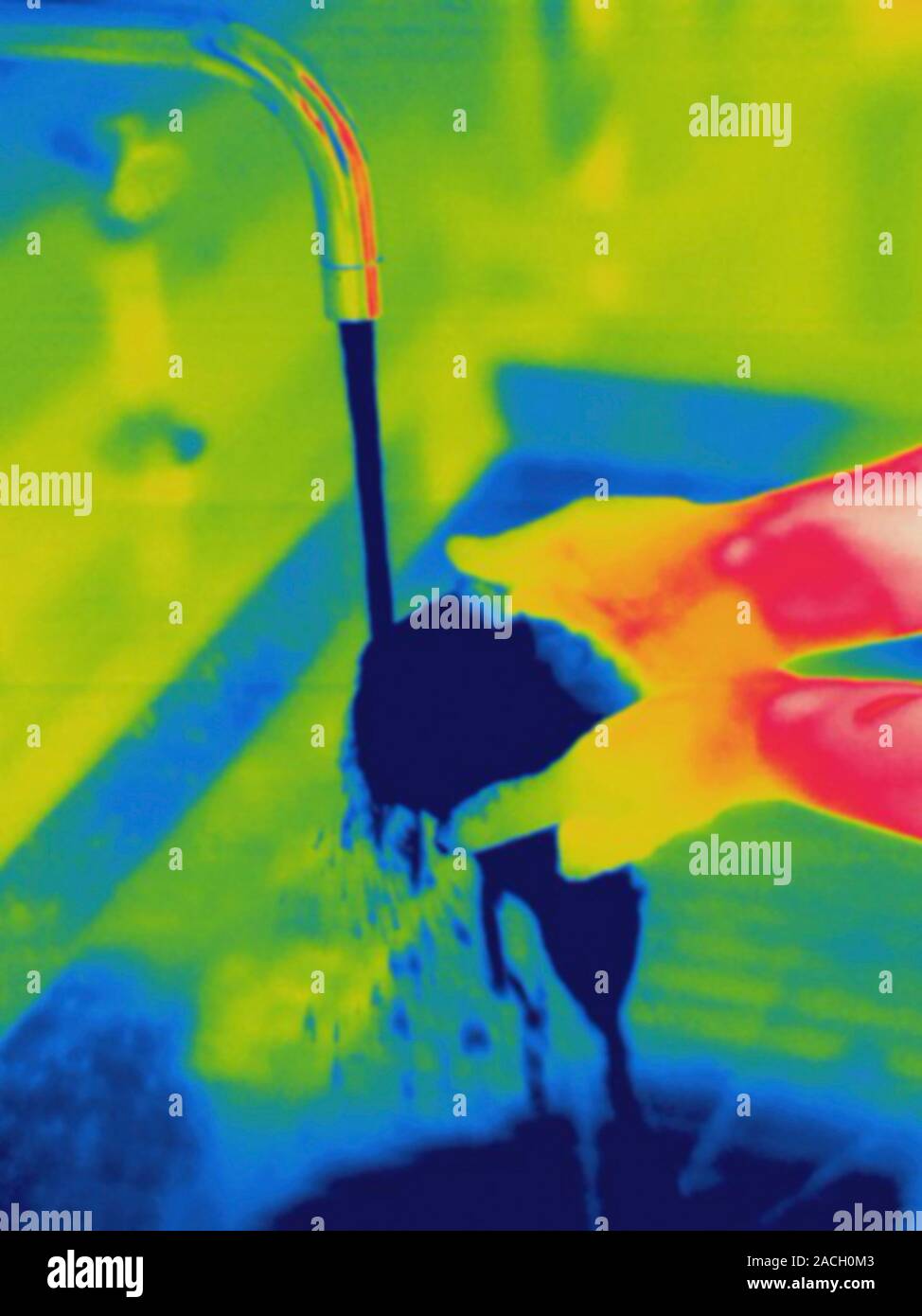 Thermogram - Washing hands with cold water - The colors show ...