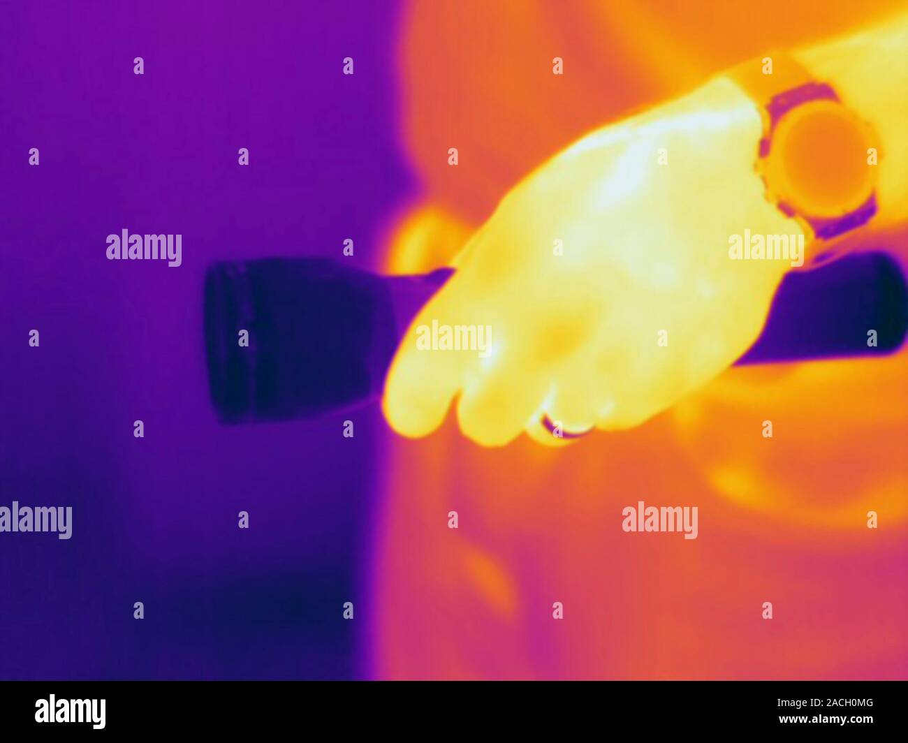 Thermogram - Person holding flashlight - The colors show temperature ...