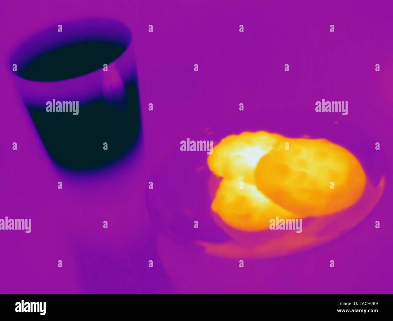 Thermogram - Warm cookies and cold milk - The colors show temperature ...