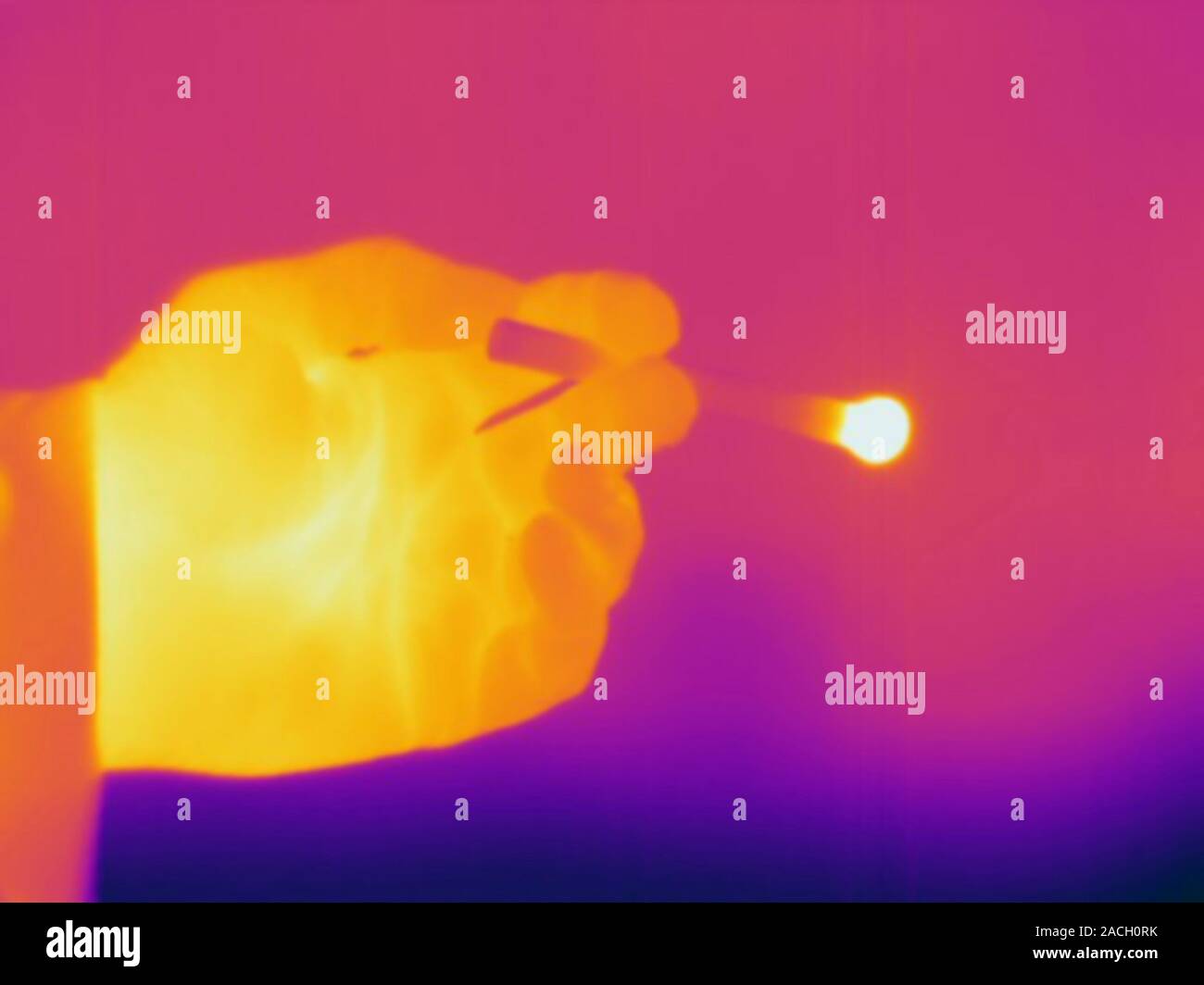 Thermogram of a hand holding a lit cigarette. The colors show ...