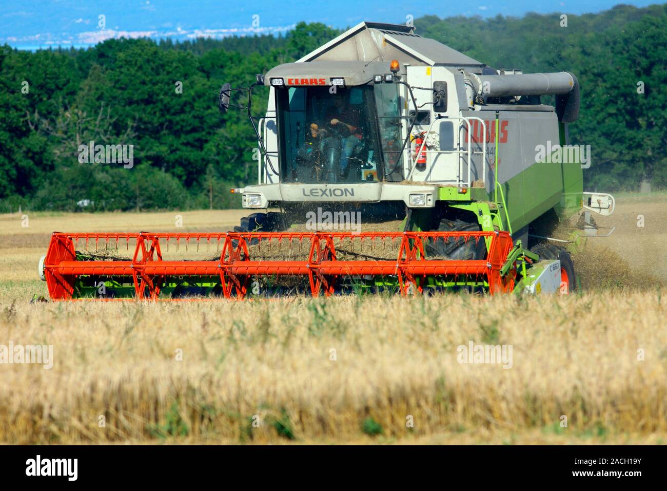 Wheat harvest. Combine harvester harvesting wheat. Photographed in ...