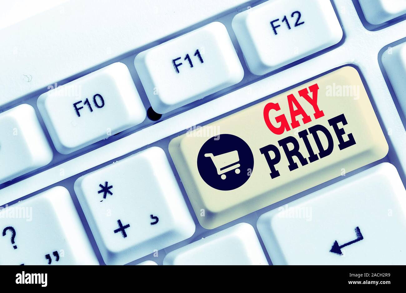 Text sign showing Gay Pride. Business photo text Dignity of an ...