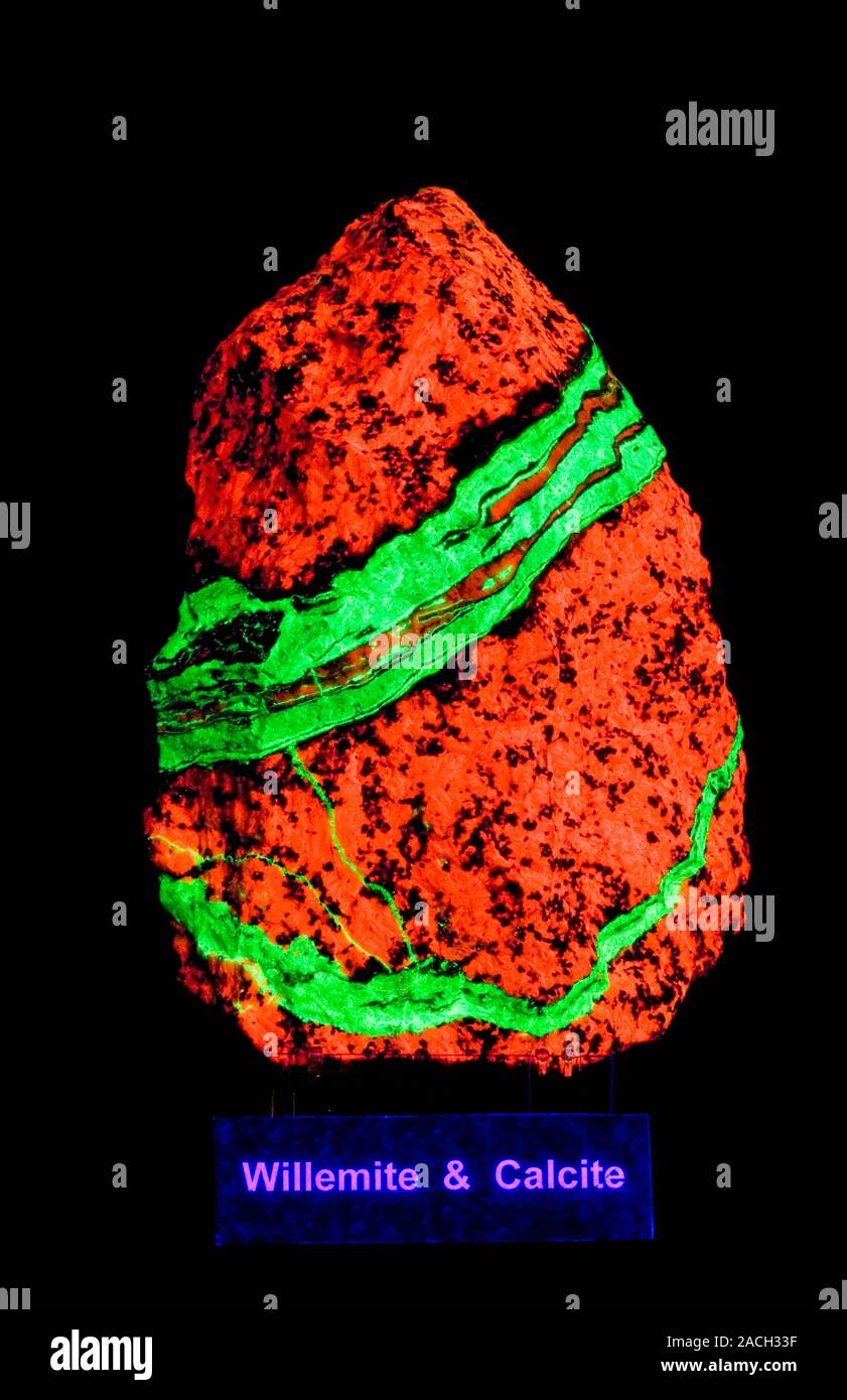 Fluorescent Willemite and Calcite seen under ultraviolet (UV) light ...