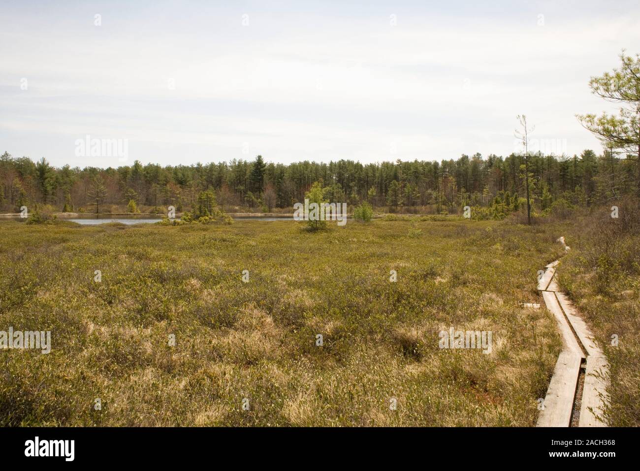 Walkway through Ponemah Bog, a three-acre pond surrounded by a floating ...