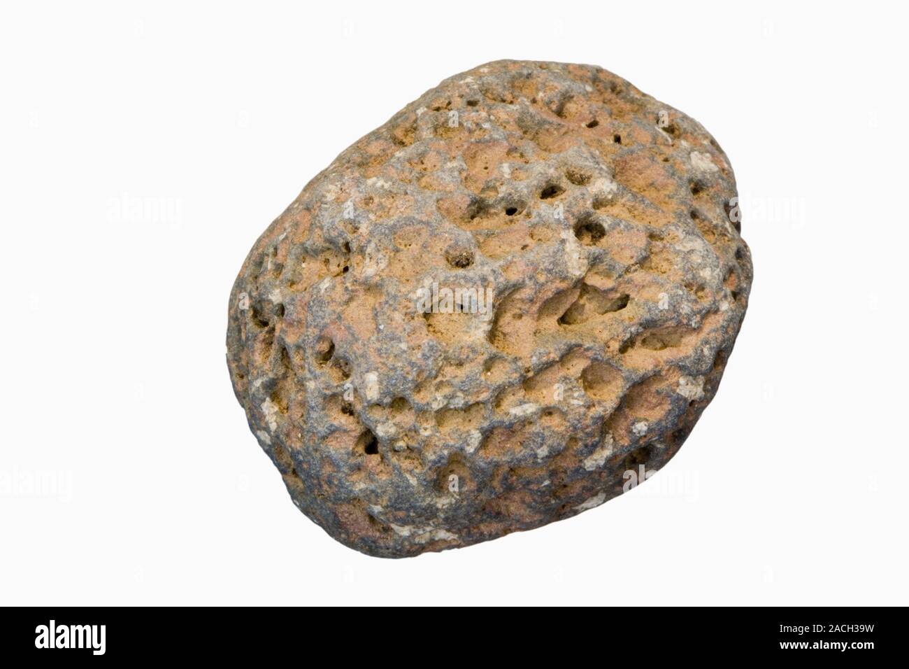 Lapilli, 2 mm - 64 mm in diameter, droplets of lava rounded by falling ...