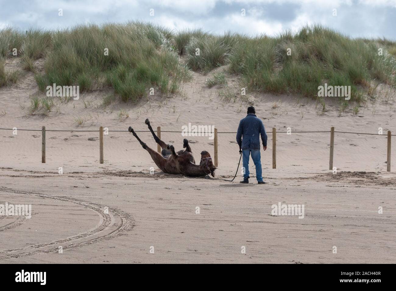 Sand bath hi-res stock photography and images - Alamy