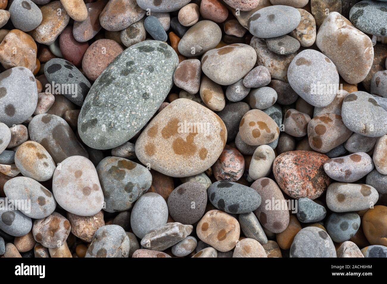 Rain spots on pebbles Stock Photo - Alamy
