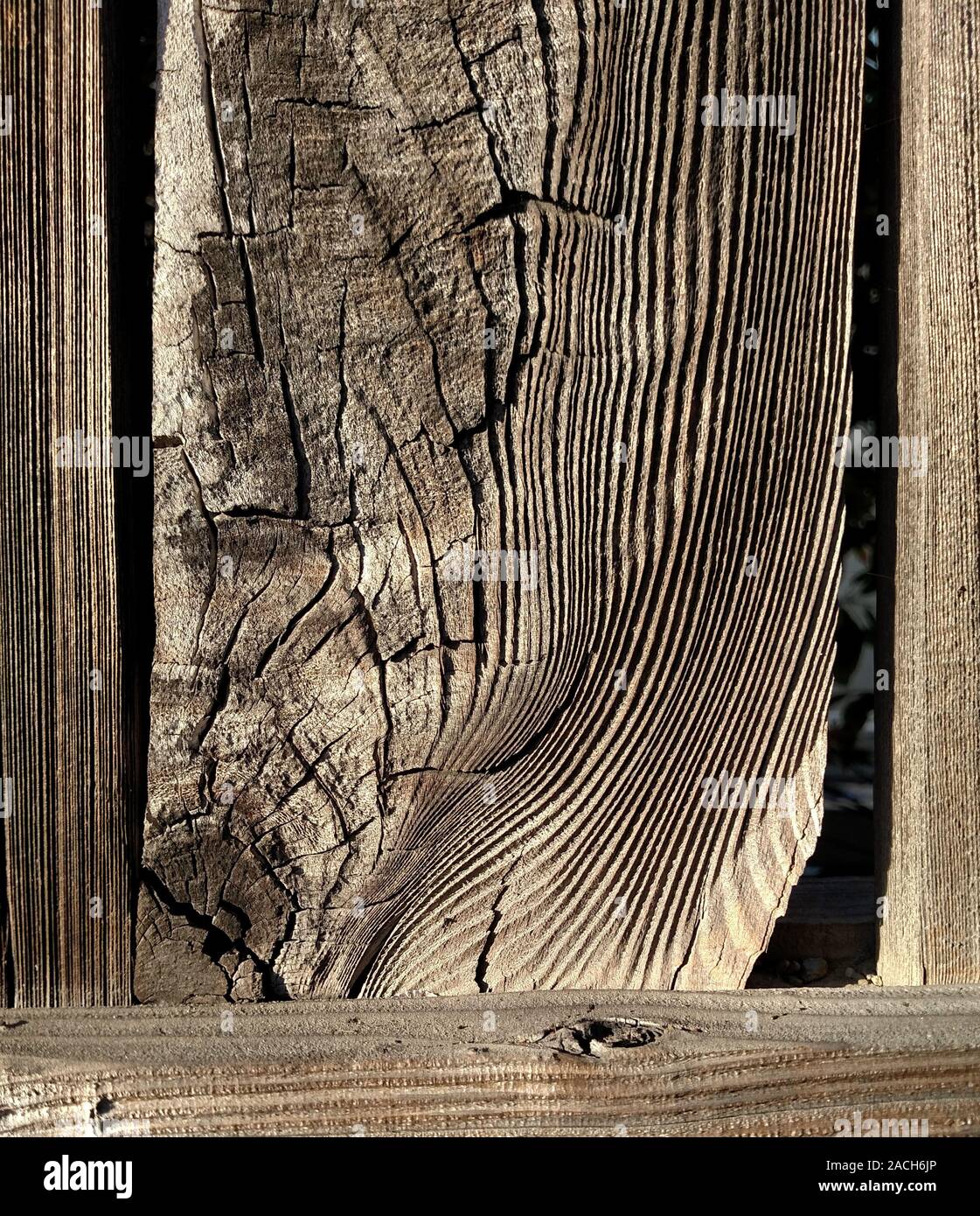 Wood grain patterns in a plank of wood in an old outdoor redwood fence ...