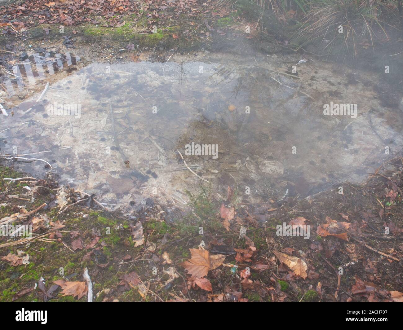 Geothermal Water And Steam From The Ground Stock Photo - Alamy