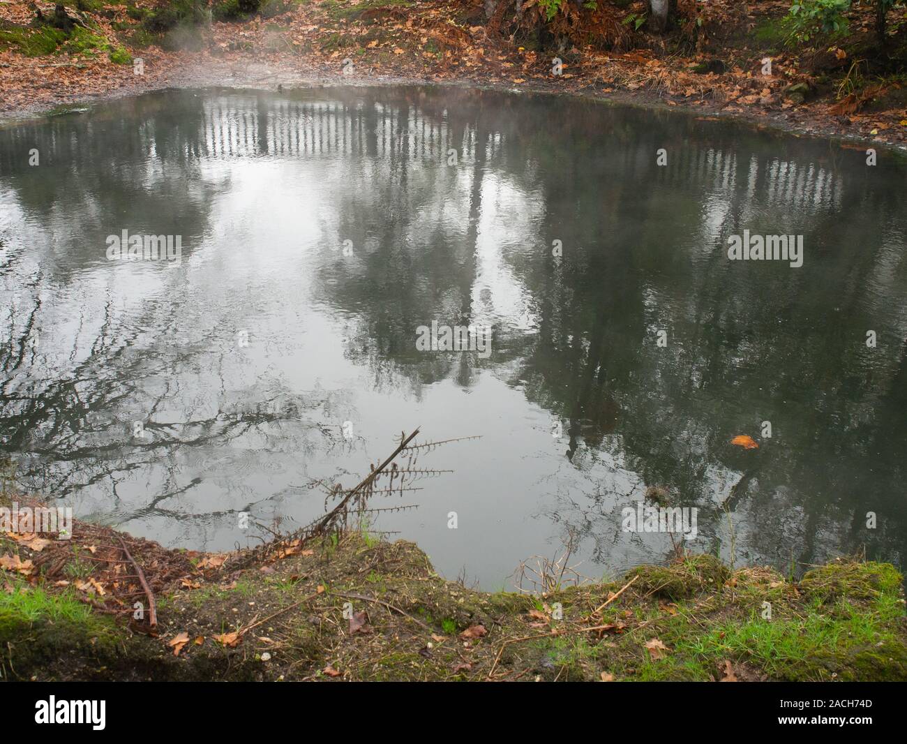 Geothermal Water And Steam From The Ground Stock Photo - Alamy