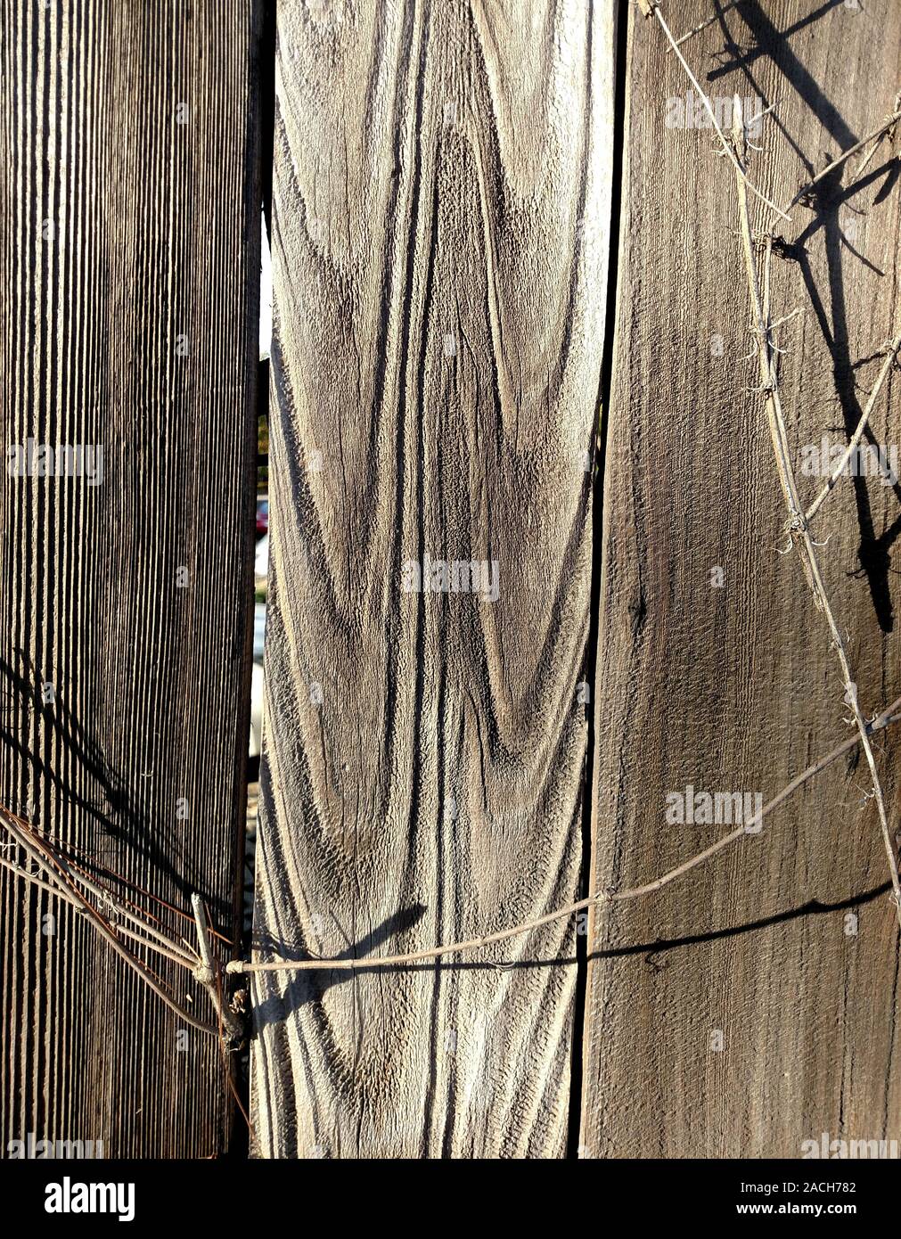 Wood grain patterns in a plank of wood in an old outdoor redwood fence ...
