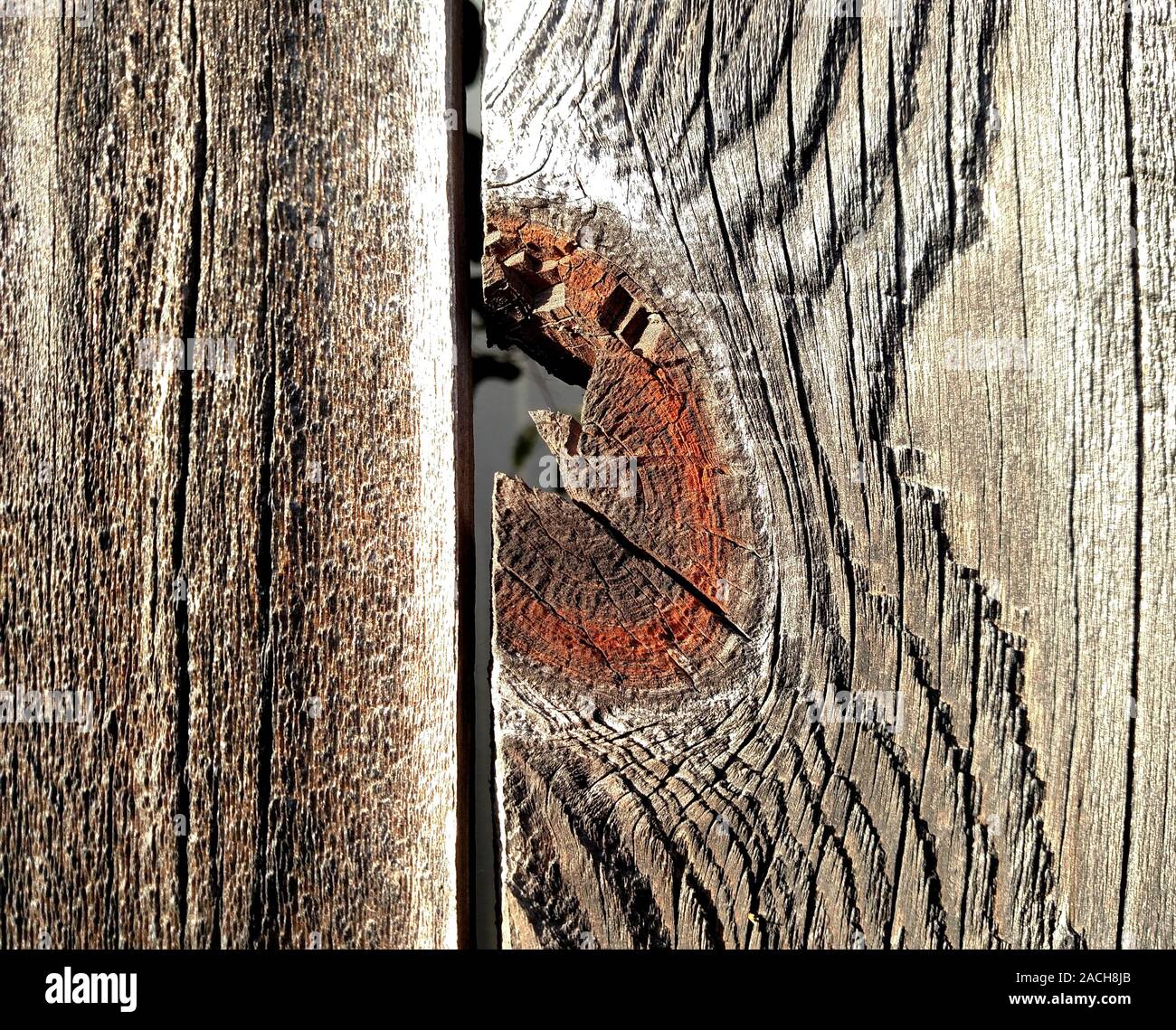 Wood grain patterns in a plank of wood in an old outdoor redwood fence ...