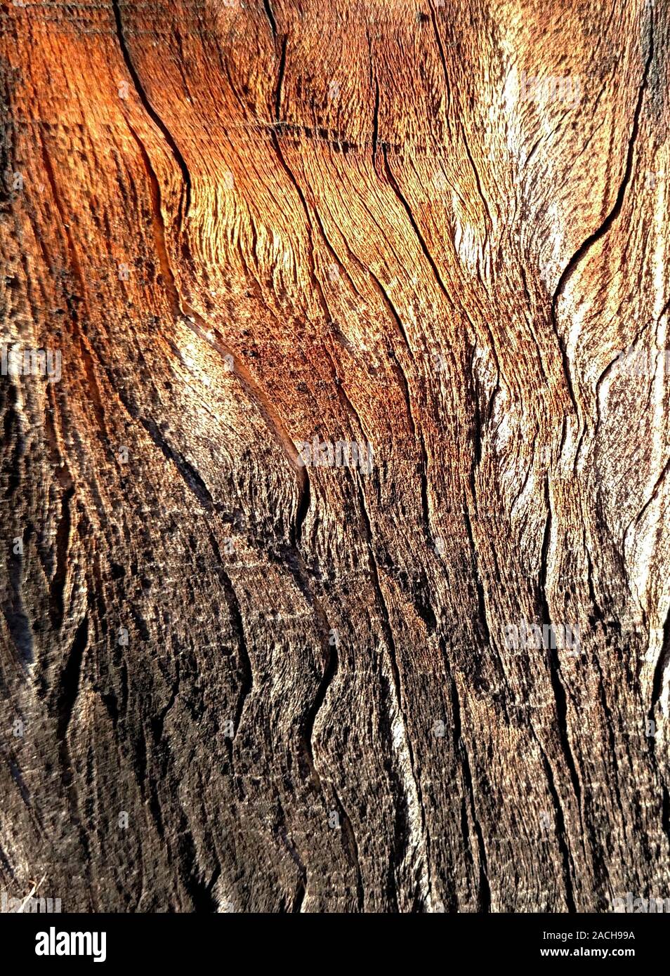 Wood grain patterns in a plank of wood in an old outdoor redwood fence ...