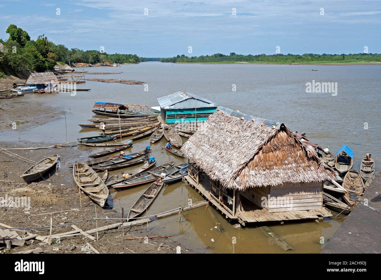 River life. Floating house and wooden boats on the Napo River, Mazan ...