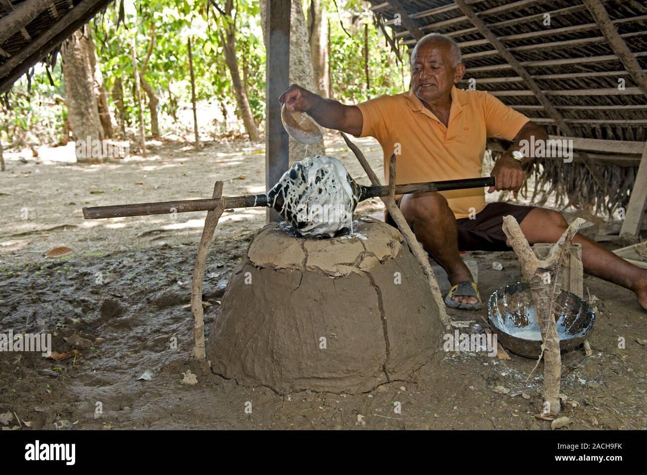 Rubber processing. Man processing rubber extracted from rubber trees ...