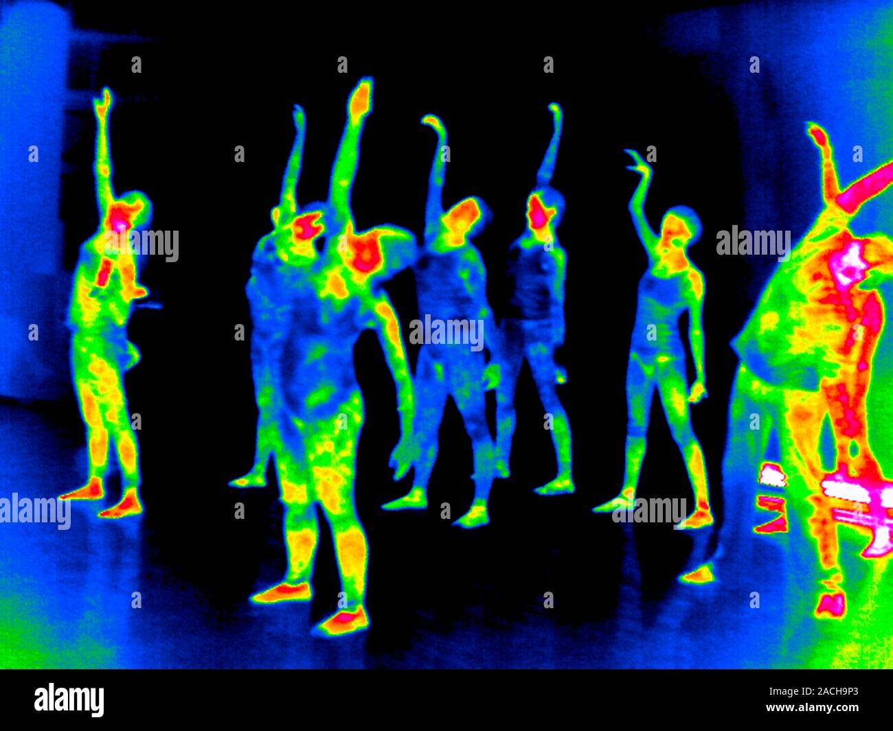 Aerobic exercises. Thermogram of a group of people doing aerobic ...