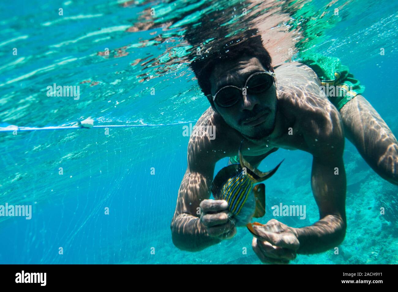 Fisherman diving underwater. Local fisherman using nets to catch small ...