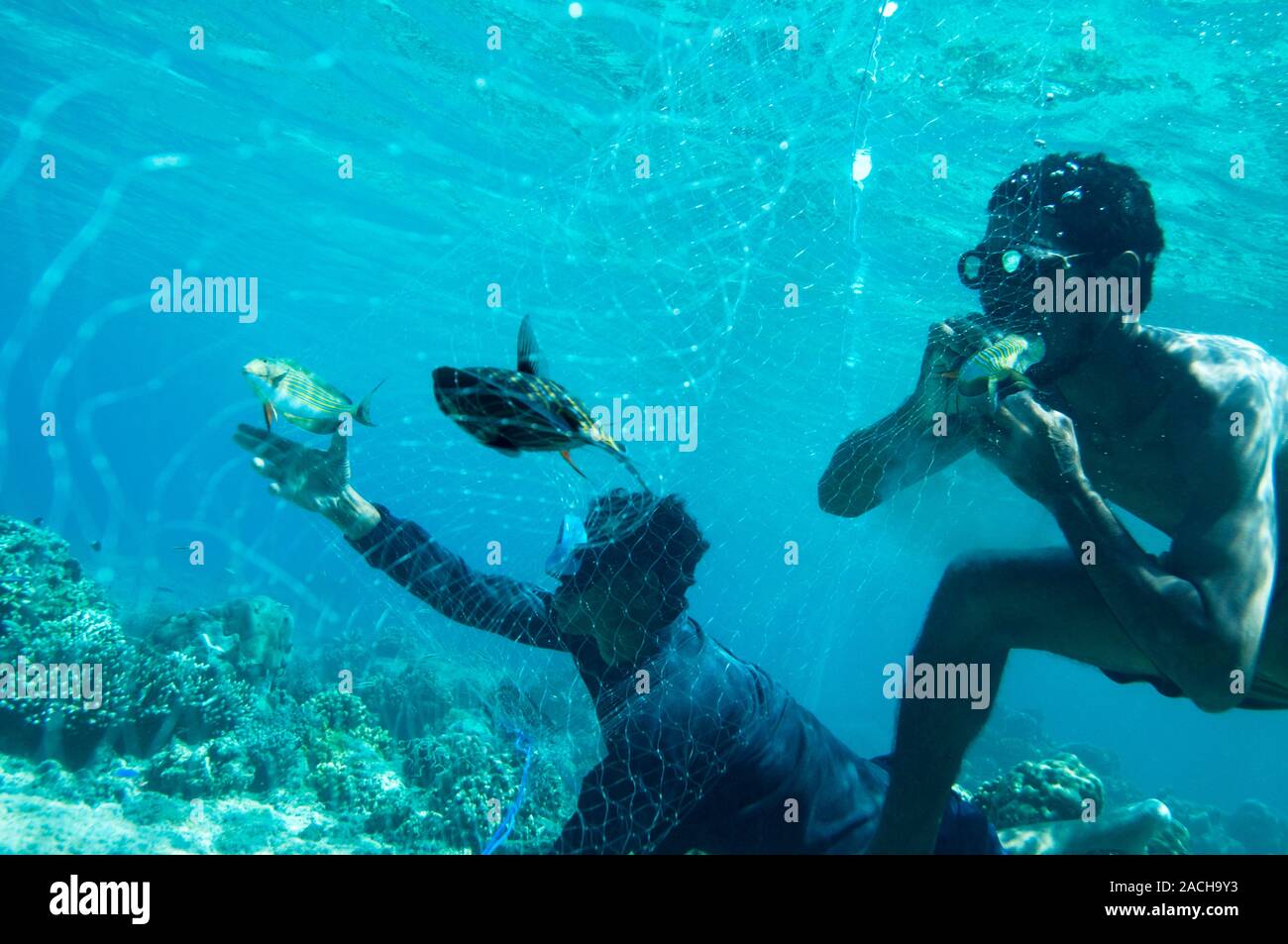 Fishermen diving underwater. Local fishermen using nets to catch small ...
