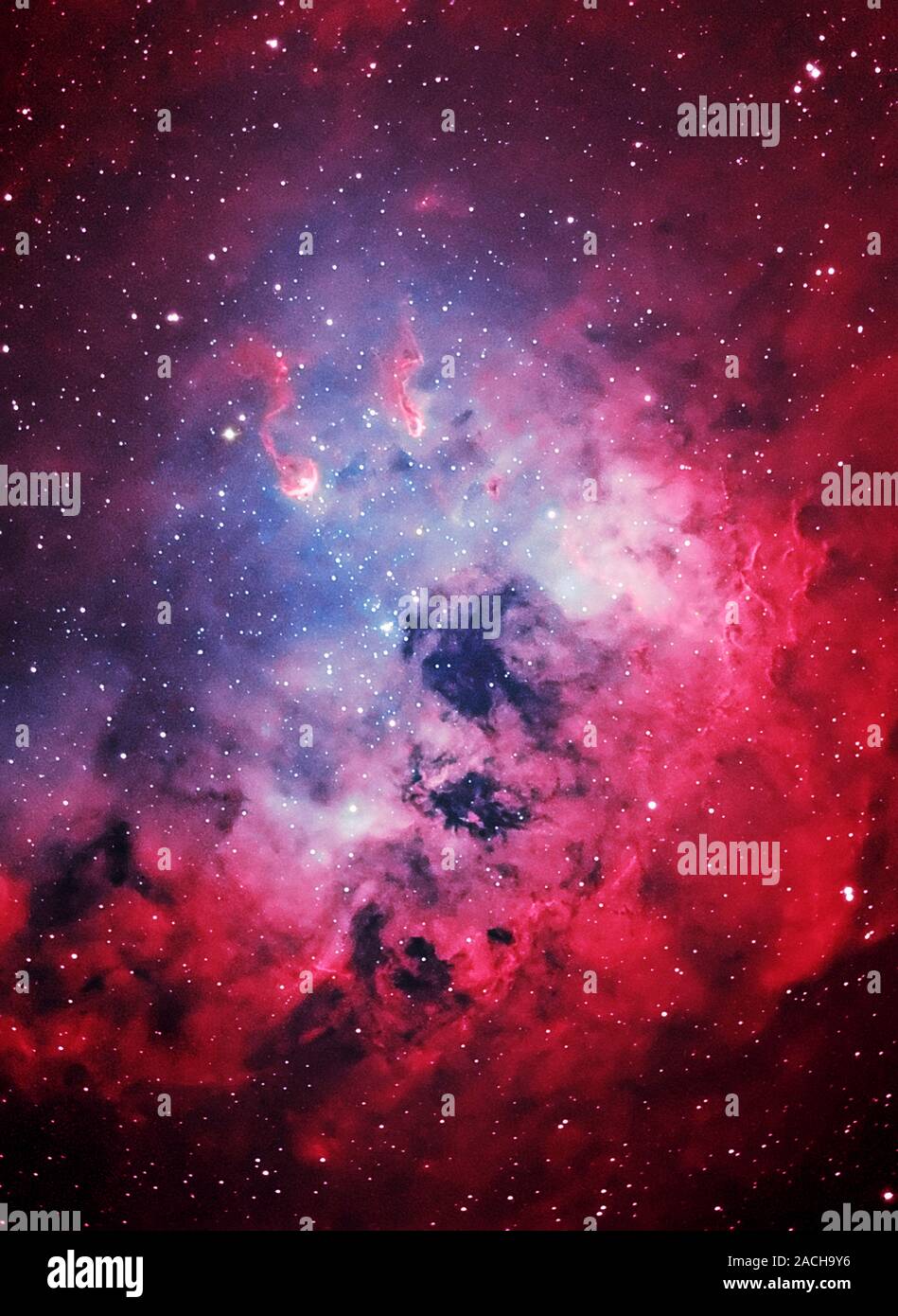 Tadpole nebula (IC 410). The tadpole-shaped clumps of dust and gas that give this nebula its ...