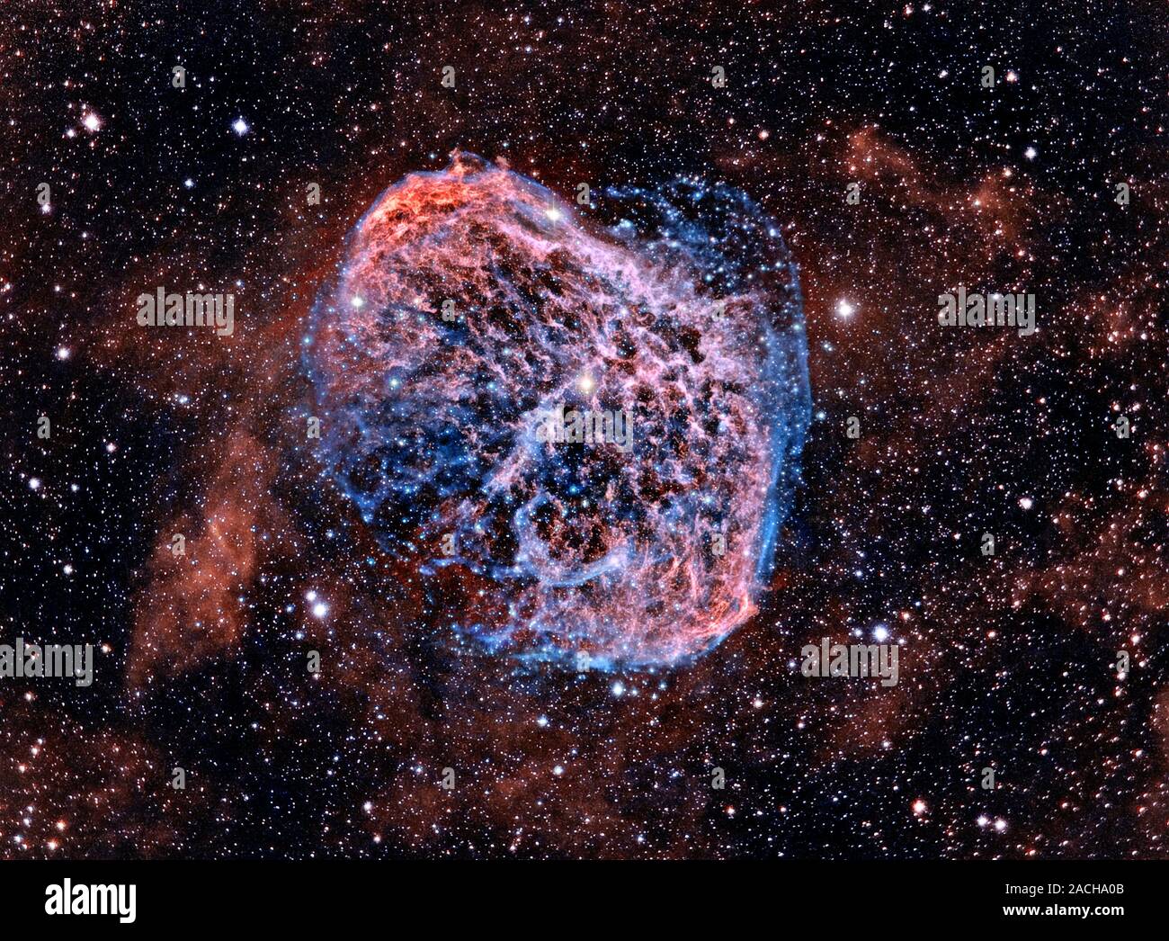 Crescent nebula (NGC 6888). The nebula is a glowing shell of gas cast ...