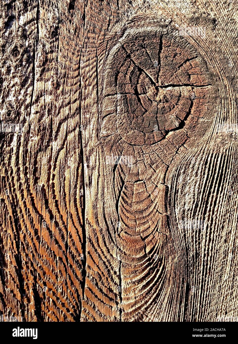 Wood grain patterns in a plank of wood in an old outdoor redwood fence ...