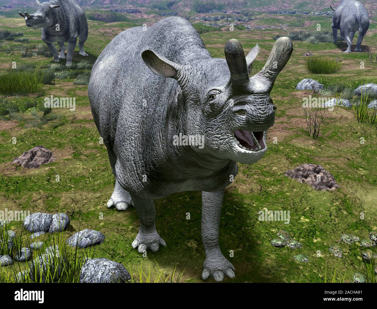 Brontotherium. Computer artwork of three Brontotherium on an open plain ...