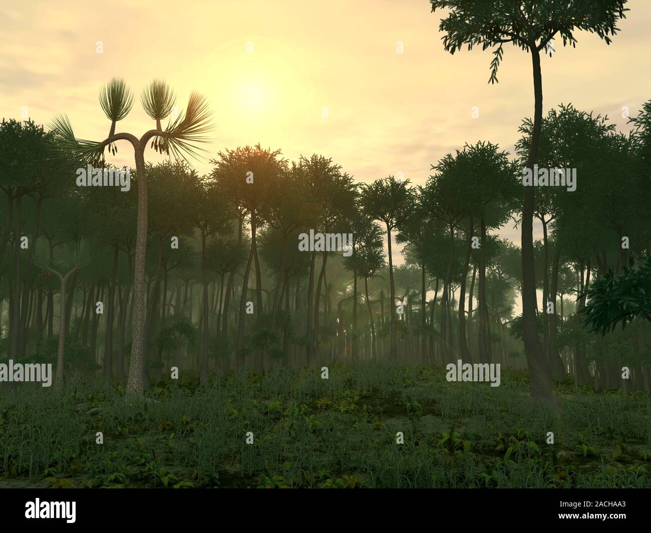 Prehistoric forest. Computer artwork of a forest in Midwestern North ...