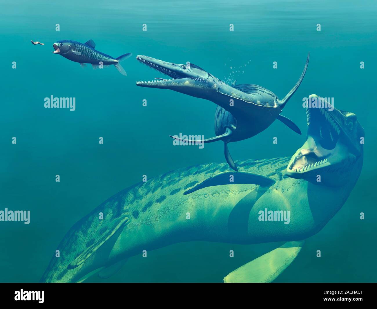 Cretaceous marine predators. Computer artwork of three primary marine ...