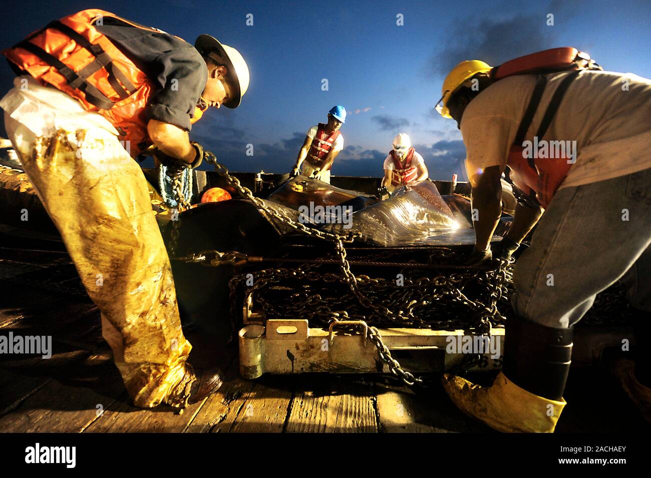Gulf of Mexico oil spill, 2010. Workers reeling in deflection booms ...
