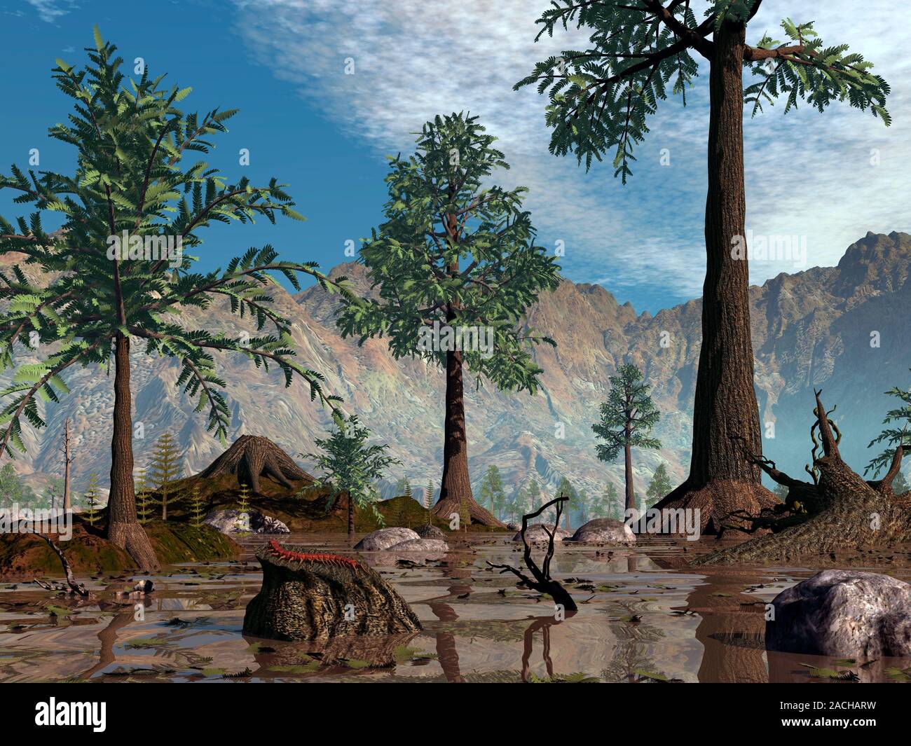 Prehistoric trees. Computer artwork of a group of Archaeopteris sp ...
