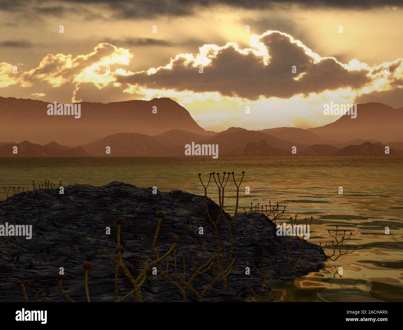 Early prehistoric plants. Computer artwork of Cooksonia caledonica ...