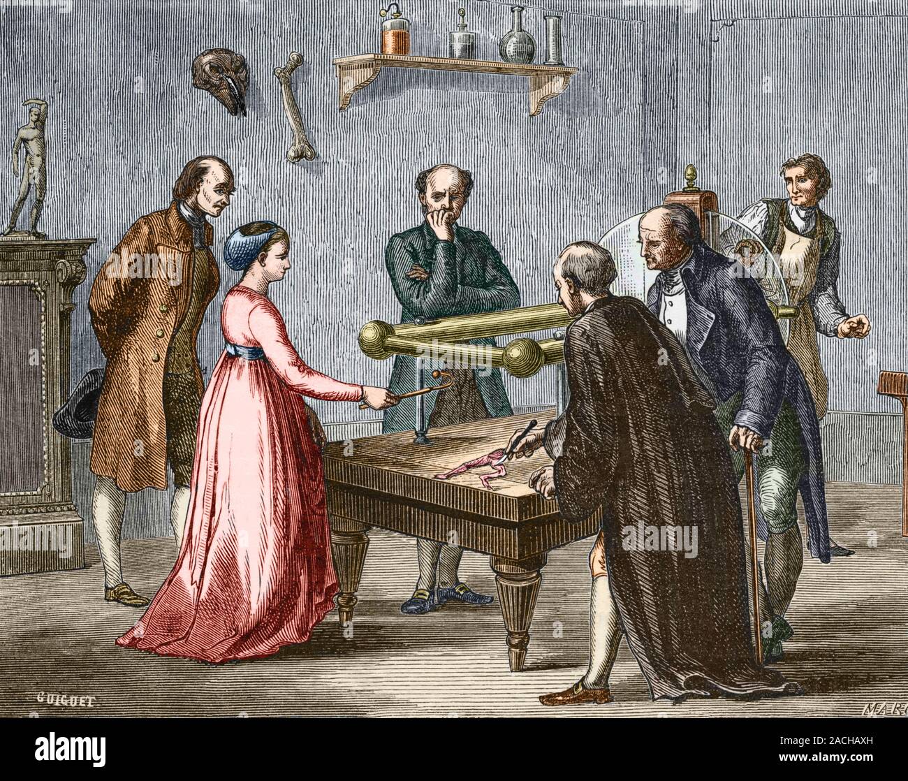 Luigi Galvani and his wife Lucia demonstrating contractions of the ...