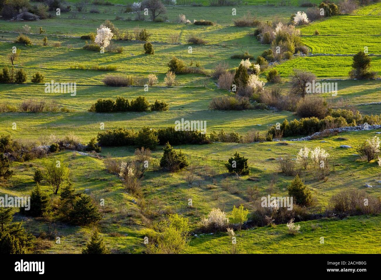Aerial view of old field patterns and boundaries on a spring evening at ...