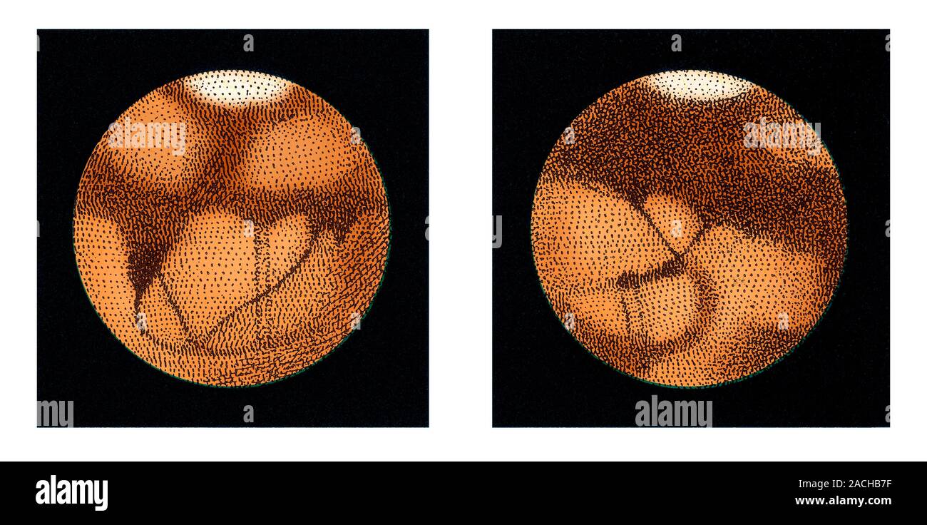 Lowell's observations of Mars. Percival Lowell (1855-1916) was a US ...