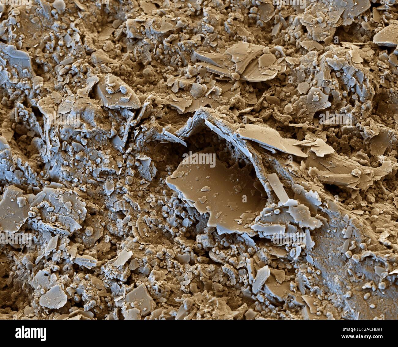 Clay-based paint. Coloured scanning electron micrograph (SEM) showing ...