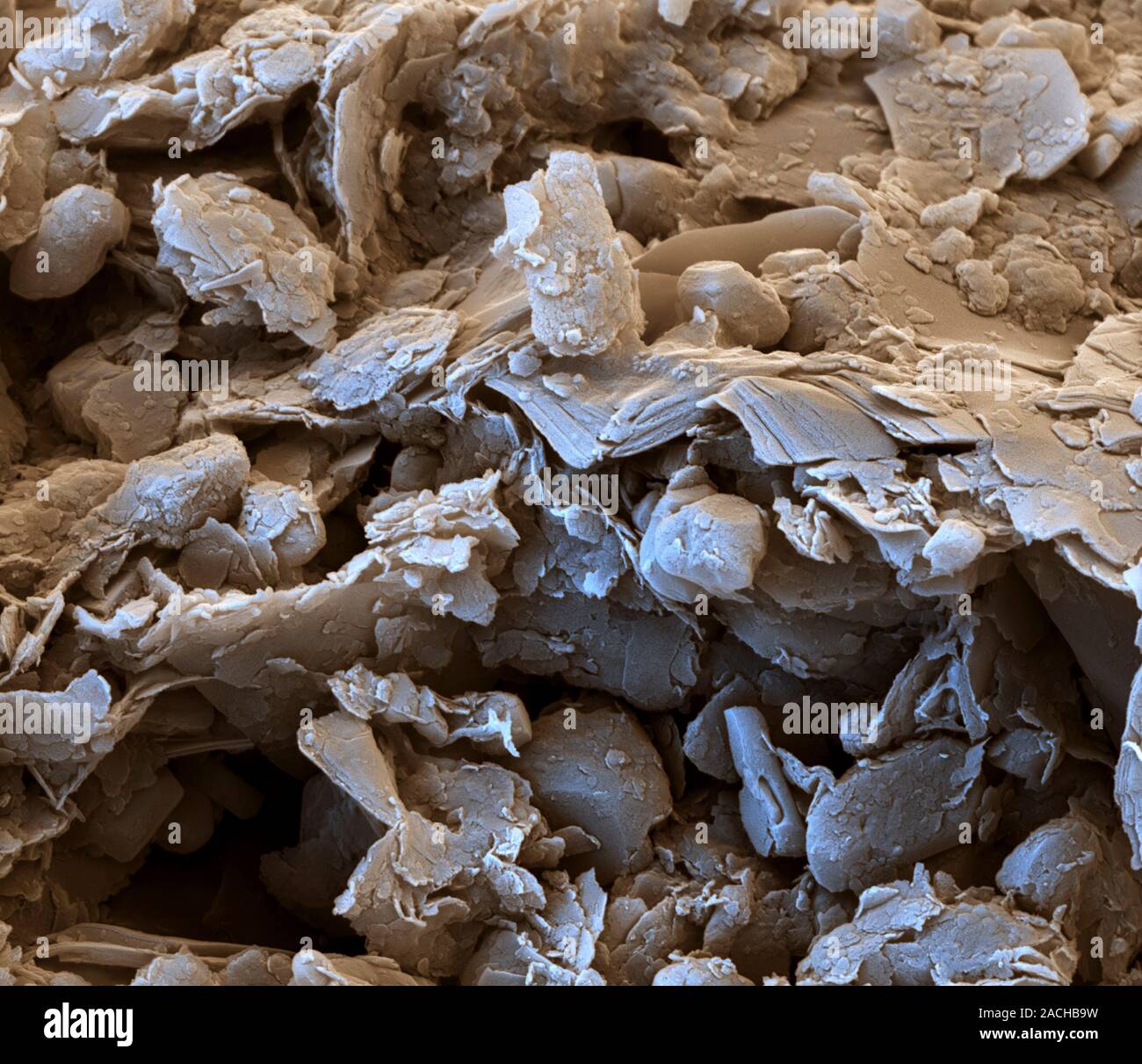 Clay-based paint. Coloured scanning electron micrograph (SEM) showing ...