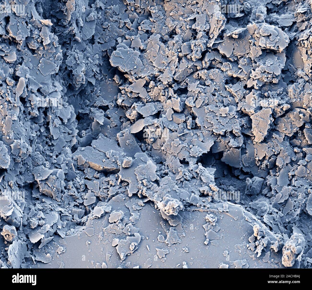 Clay-based plaster. Coloured scanning electron micrograph (SEM) showing ...