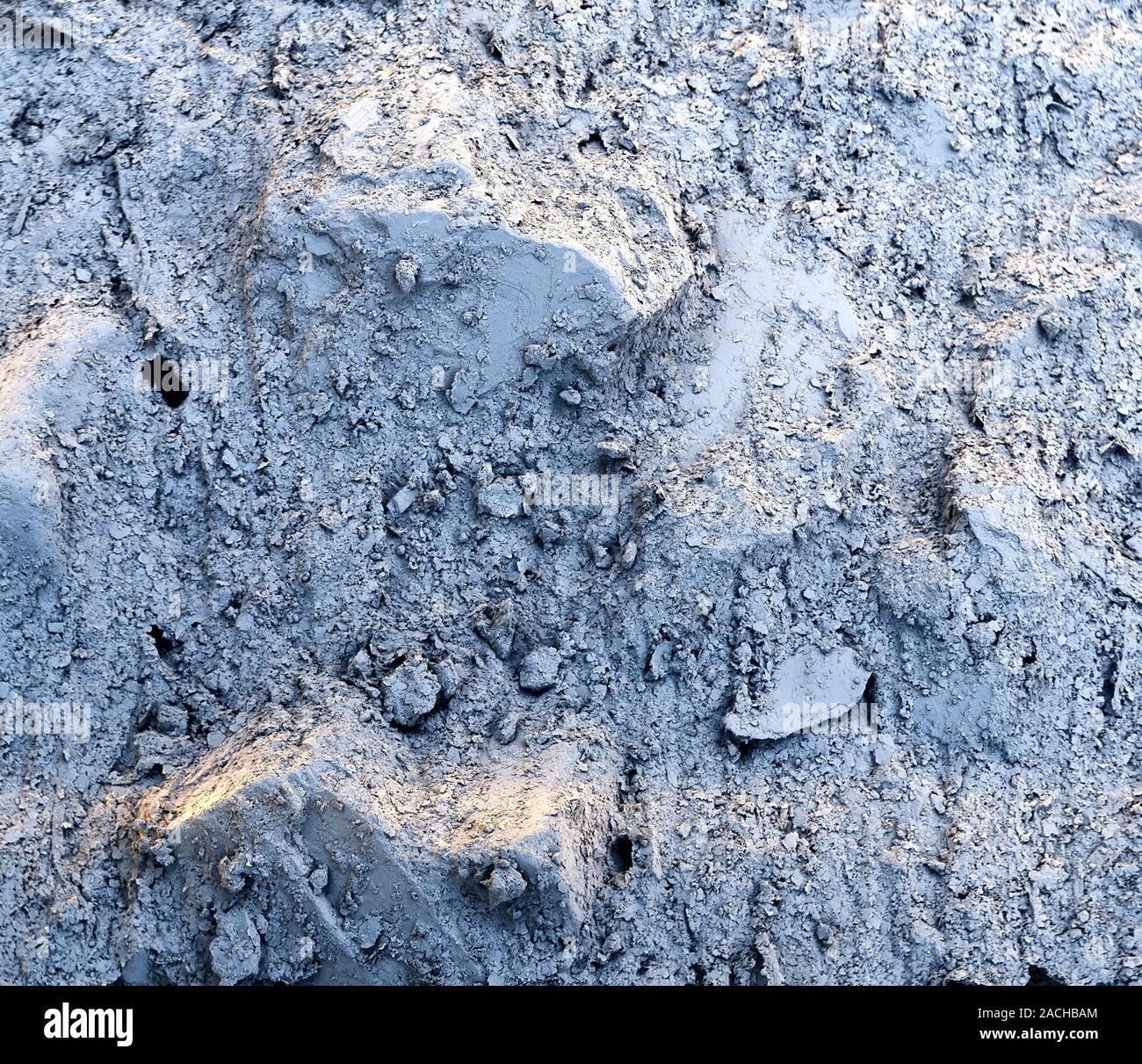 Clay-based plaster. Coloured scanning electron micrograph (SEM) showing ...