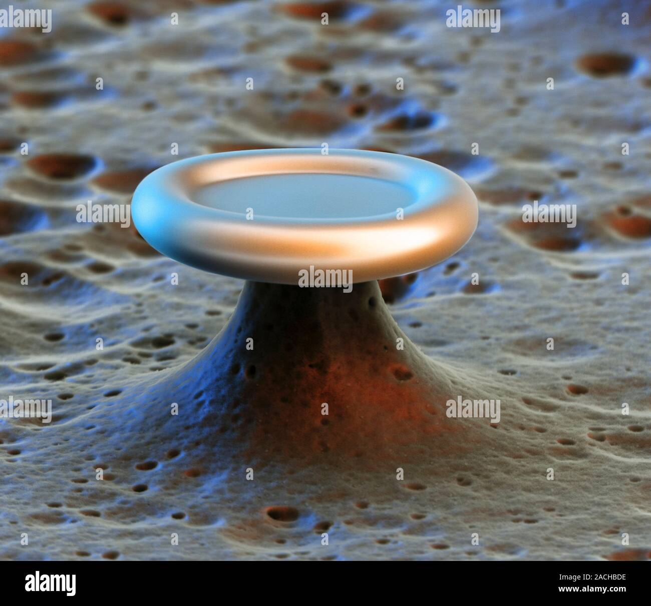 Toroidal resonator. Coloured scanning electron micrograph (SEM) of a ...
