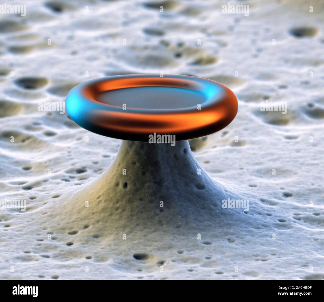 Toroidal resonator. Coloured scanning electron micrograph (SEM) of a ...