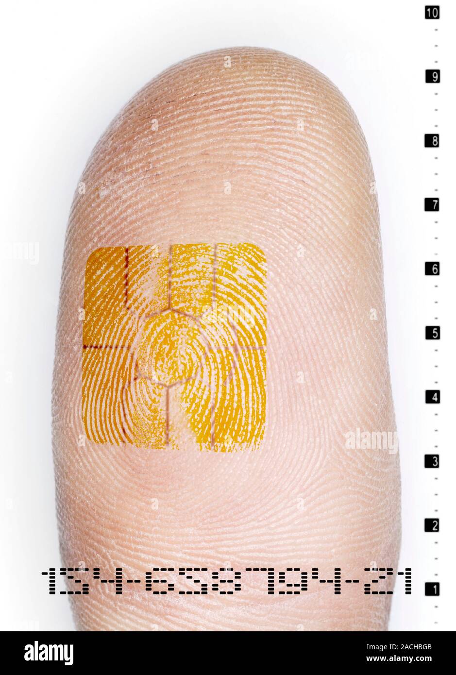 Fingerprint identification. Finger and microchip representing a ...
