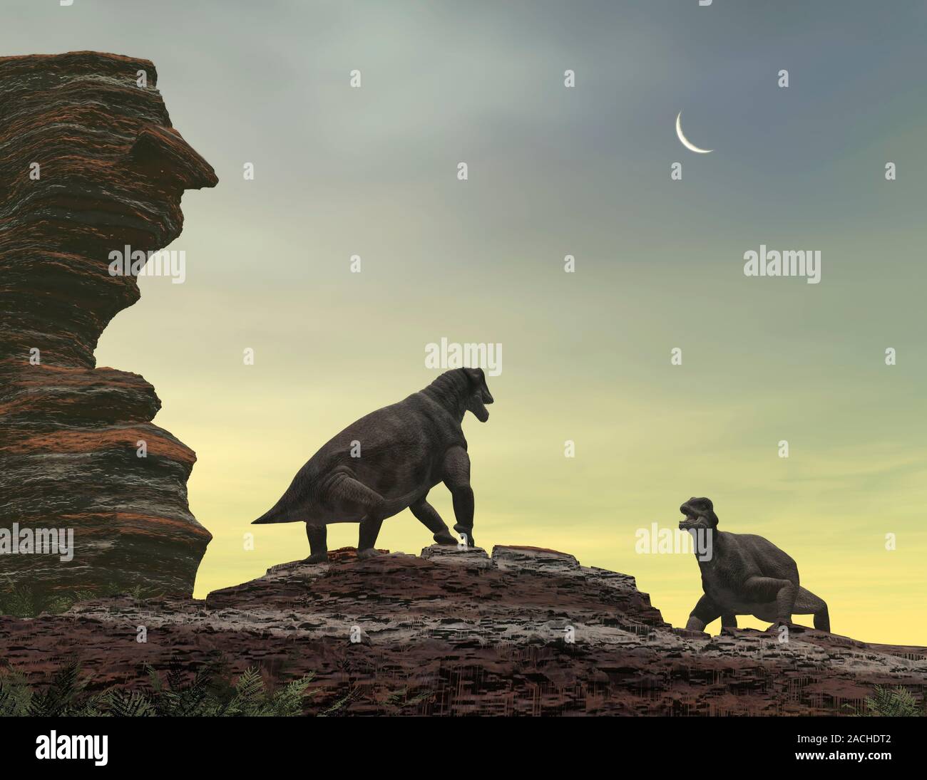 Moschops. Artwork of two Moschops about to fight on a sandstone mesa ...