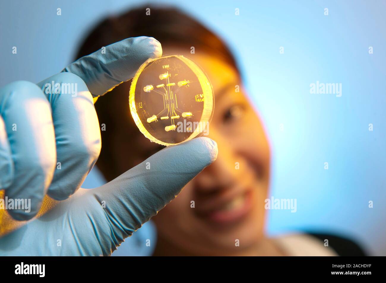 Lab-on-a-chip. Researcher holding a plastic lab-on-a-chip designed for ...